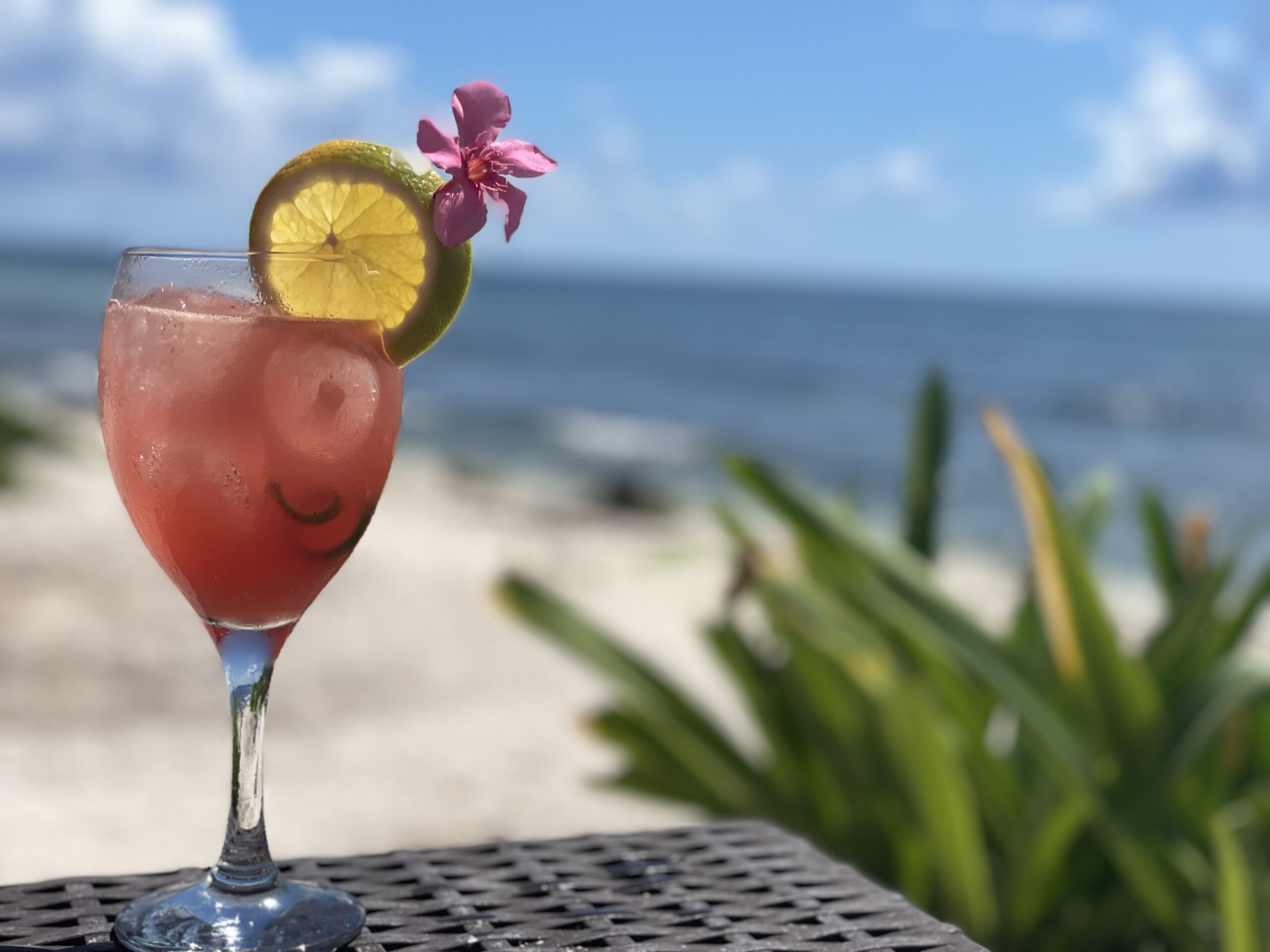 Akumal Beachside Happy Hours Without Tulum Prices | Akumal MX